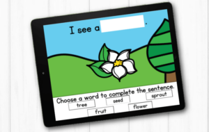 Apple Life Cycle Kindergarten Science Digital Activity - I Teach Too