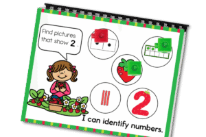 Summer Strawberry Number Recognition Activity 1-10 🍓